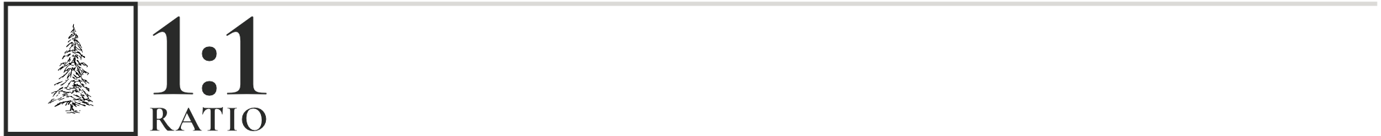 Guide to Print Sizes & Ratios | Evergreen Sketch Co