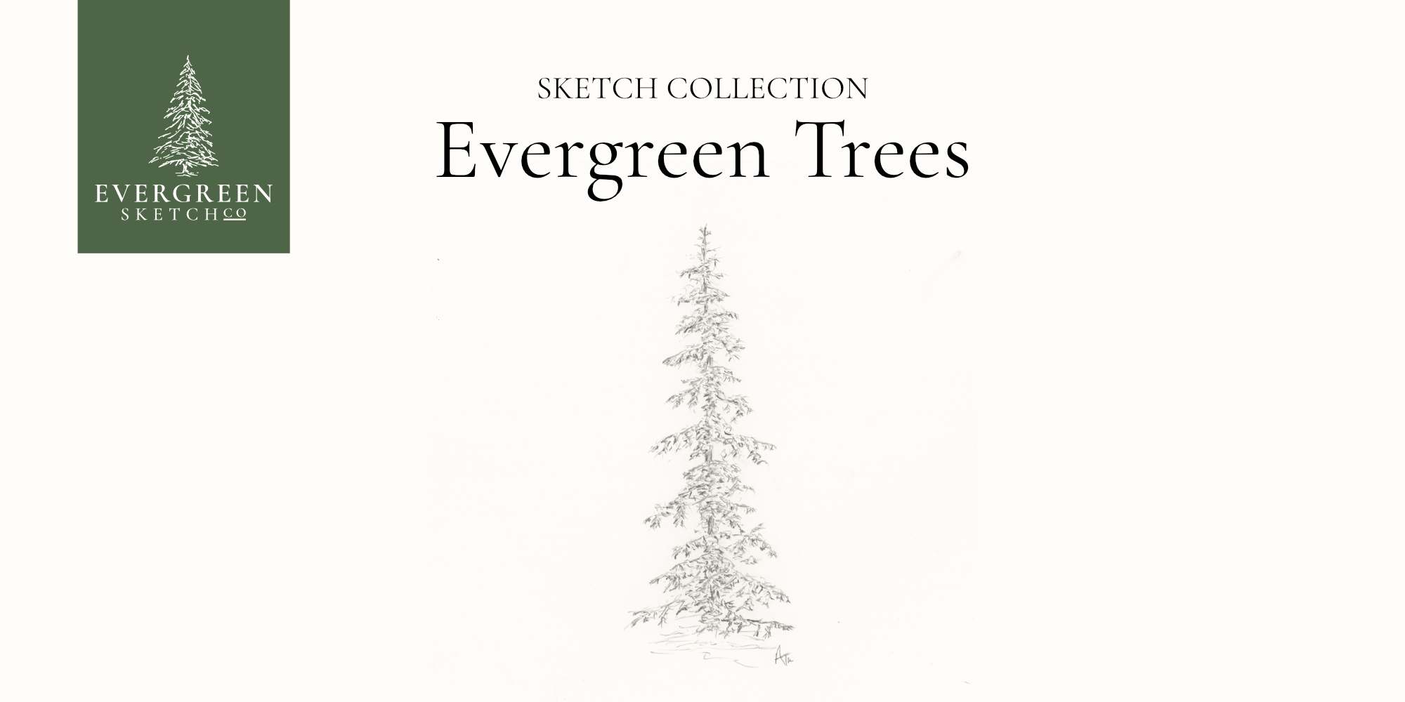 Evergreen Trees Sketch Collection | Evergreen Sketch Co